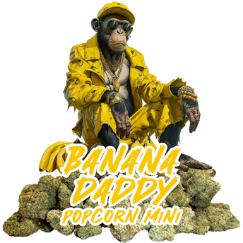 Banana Daddy ( Popcorn Mini ) Cannabis Strain - Weed Delivery - ogth