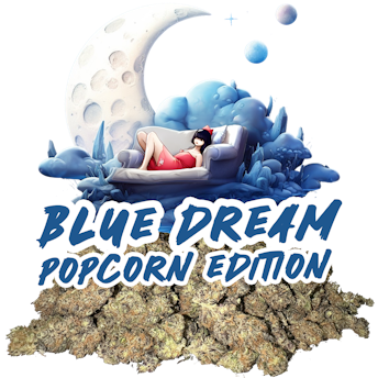 Blue Dream ( Popcorn ) Cannabis Strain - Weed Delivery - ogth