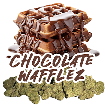 Chocolate Wafflez Cannabis Soort - Wiet Bezorging - ogth