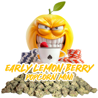 Early Lemon Berry ( Popcorn Mini ) สายพันธุ์กัญชา - การจัดส่งวัชพืช - ogth