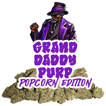 Grand Daddy Purple ( Popcorn ) Cannabis Strain - Weed Delivery - ogth