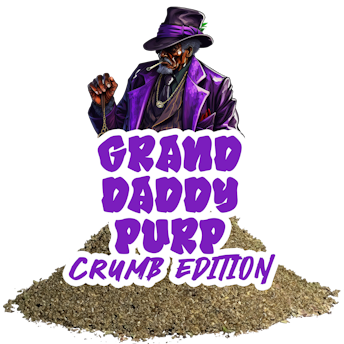 Grand Daddy Purple ( Crumb ) สายพันธุ์กัญชา - การจัดส่งกัญชา - ogth