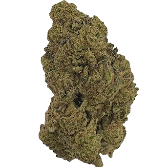 Kush Mints Cannabis Strain - Weed Delivery - ogth