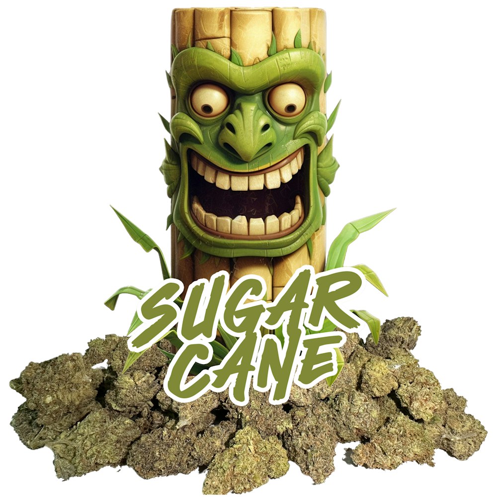 Sugar Cane Cannabis Strain - Weed Delivery - ogth Sugar Cane Cannabis Strain - Weed Delivery - ogth