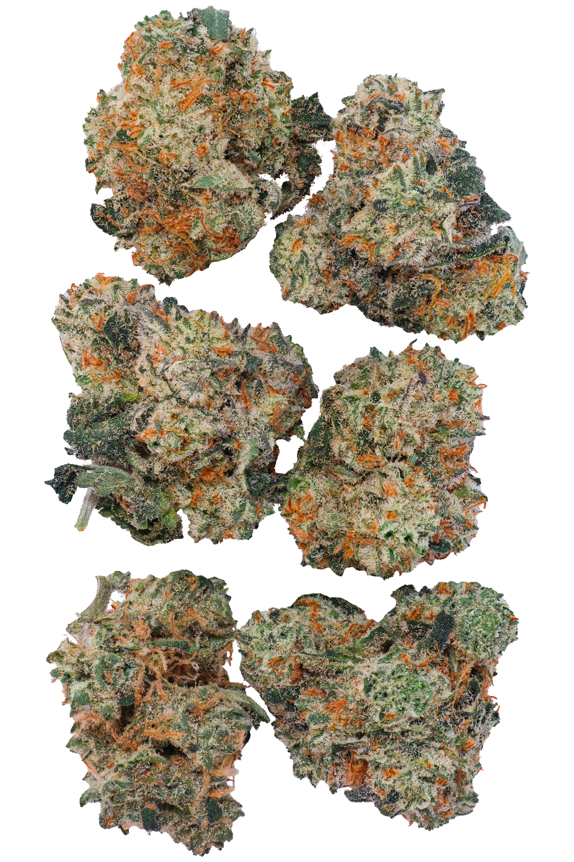 Tarts ( Popcorn Mini ) Cannabis Strain - Weed Delivery - ogth